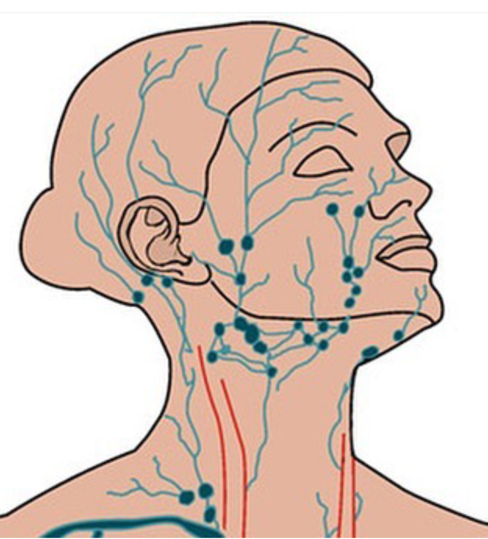 Lymfatická masáž tváre | silviakonradova.sk